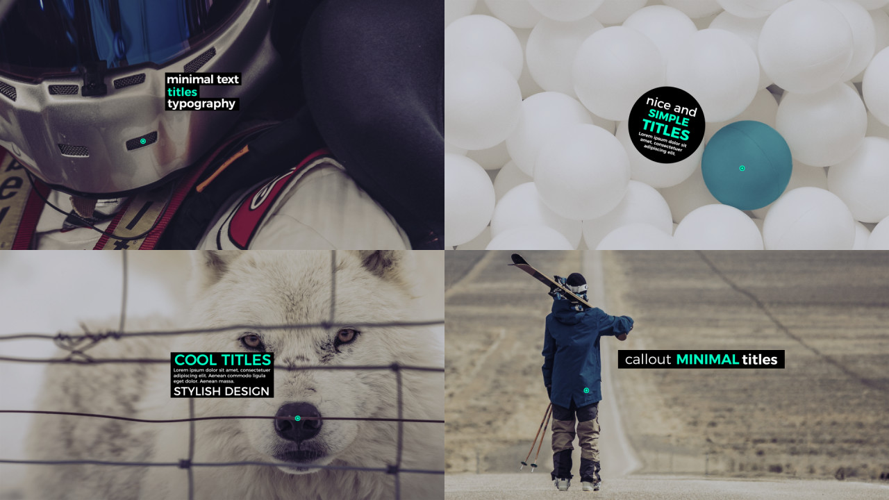 Minimal Callout Titles - Premiere Pro Templates | Motion Array