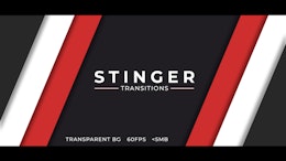 Stinger Transition Template TUTORE ORG Master Of Documents